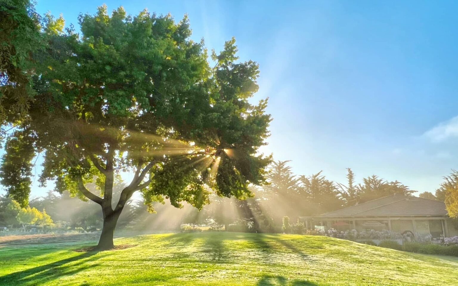 Cypress Ridge Golf Course – Arroyo Grande, California – Come experience ...